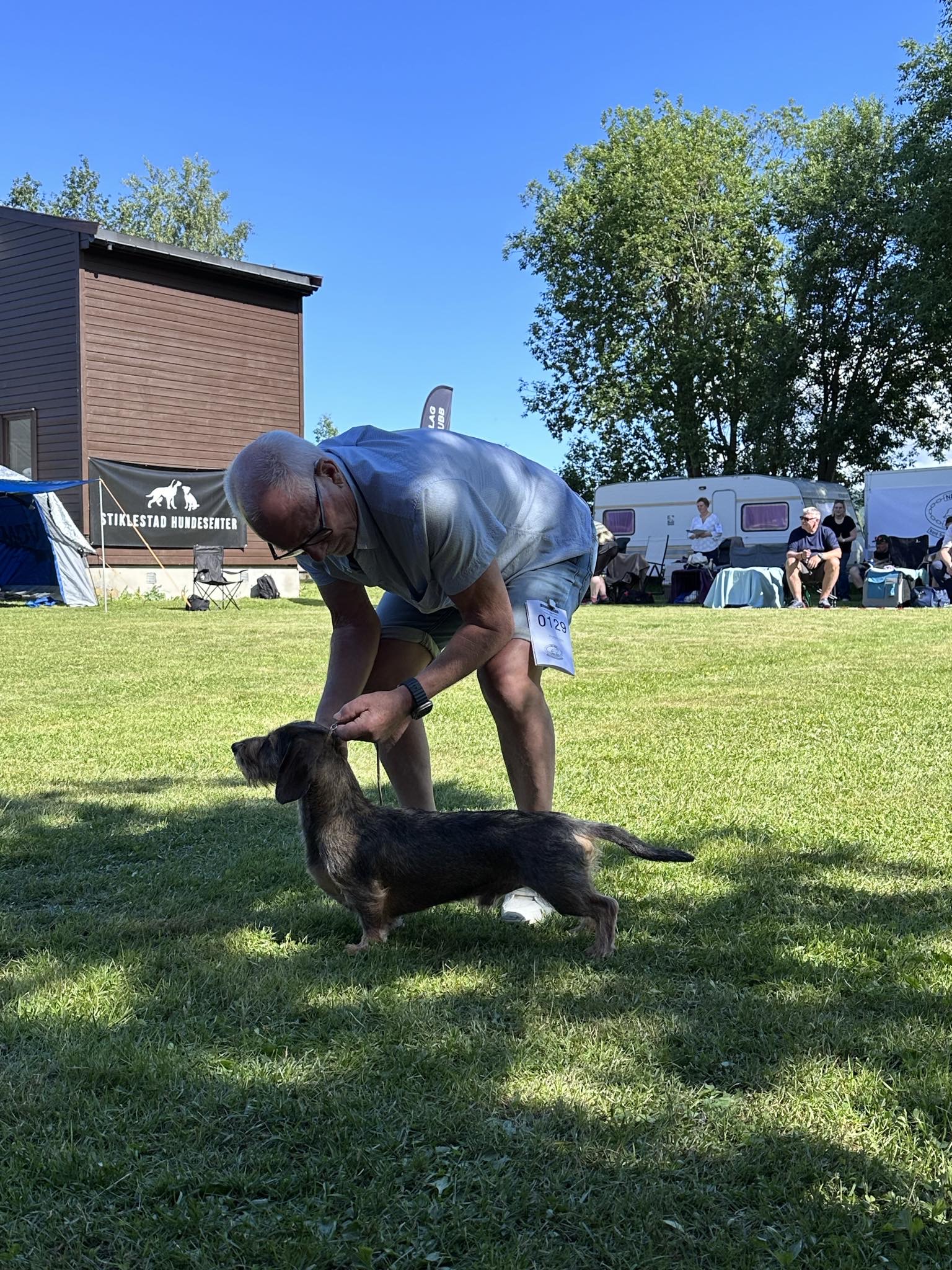 Pei Fang Ecco - Norske Dachshundklubbers Forbund
